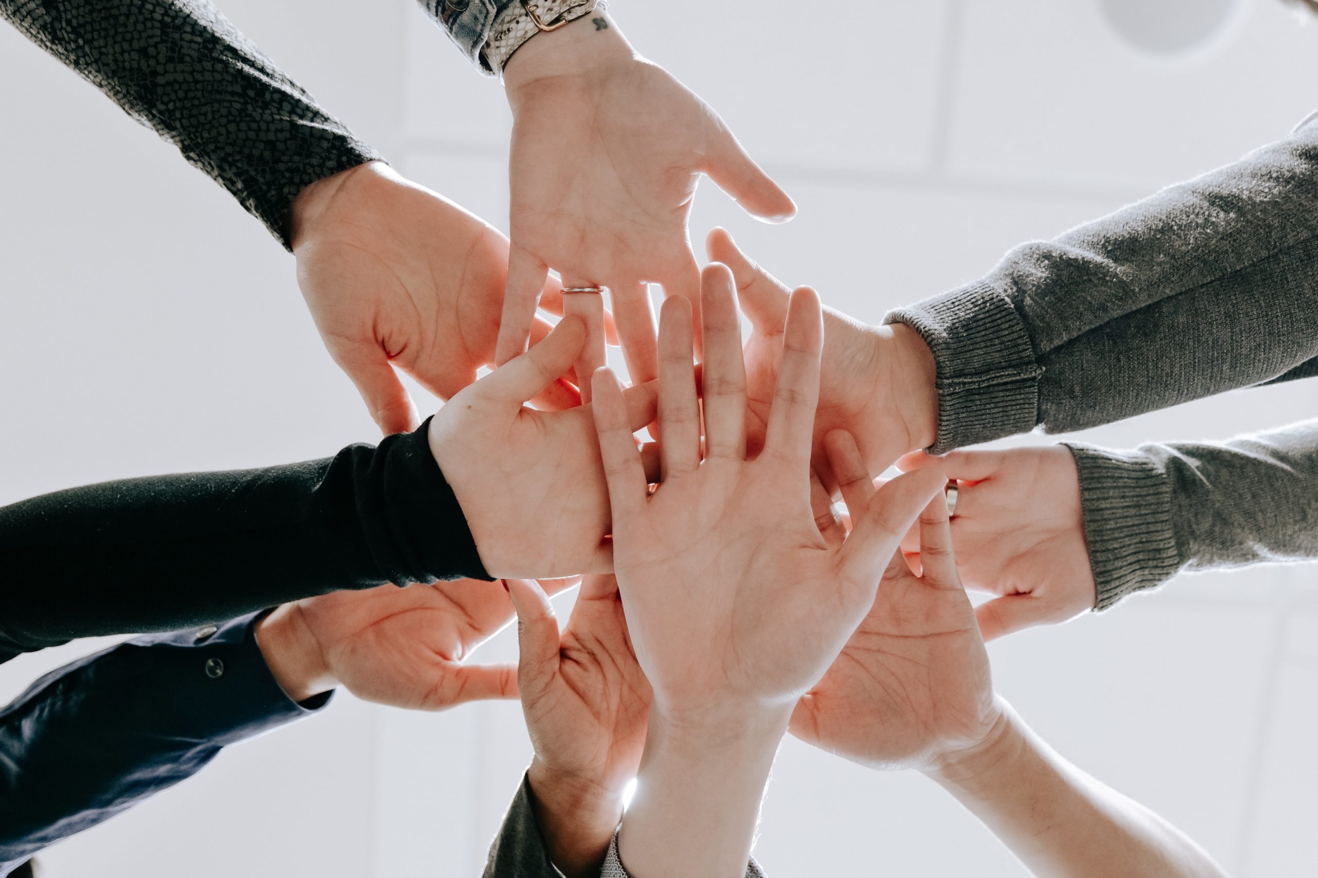 Business Advisor | Meet the HGA Team | HGA Group